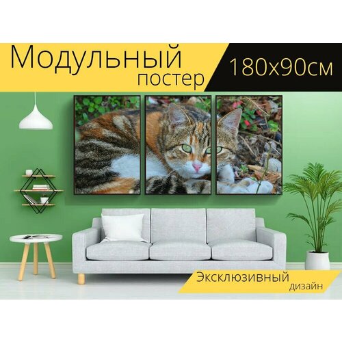 Модульный постер "Кошка, кошачий, морда кошки" 180 x 90 см. для интерьера