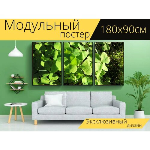 Модульный постер "Клевер, дикорастущее растение, листья" 180 x 90 см. для интерьера