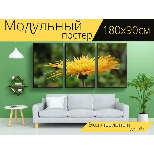 Модульный постер "Цветок, гербера, природа" 180 x 90 см. для интерьера