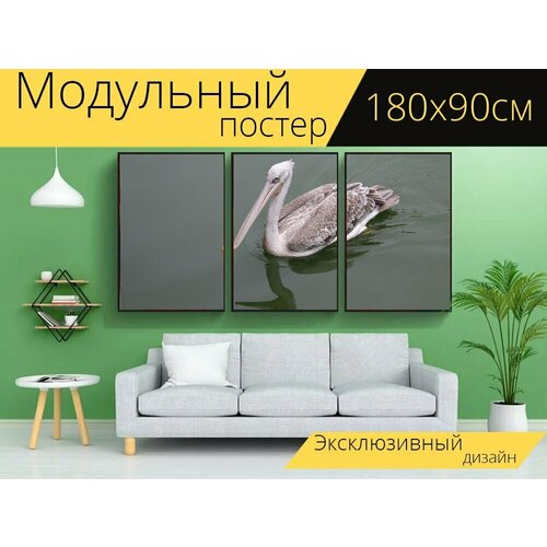 Модульный постер "Пеликан, птица, пруд" 180 x 90 см. для интерьера