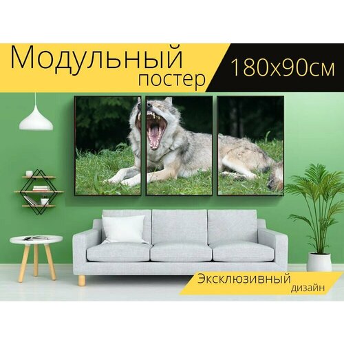 Модульный постер "Волк, хищник, европейский волк" 180 x 90 см. для интерьера