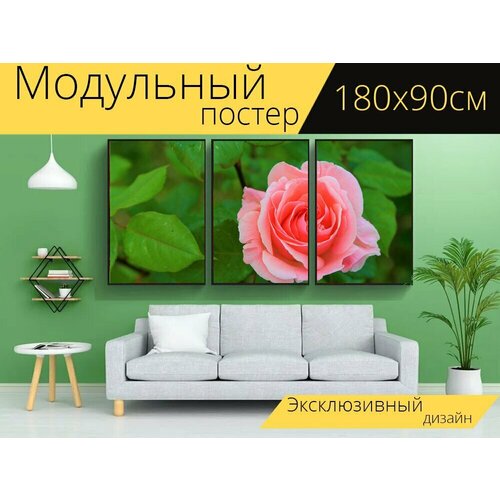 Модульный постер "Роуз, весна, природа" 180 x 90 см. для интерьера