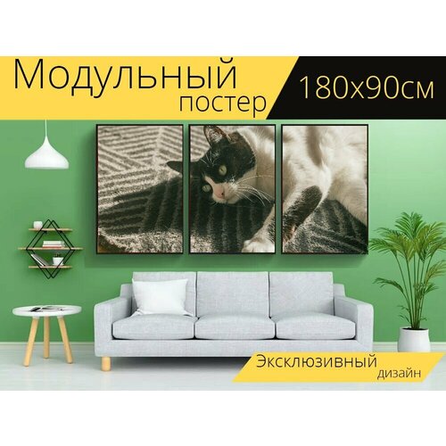 Модульный постер "Кошка, солнце, загорать" 180 x 90 см. для интерьера