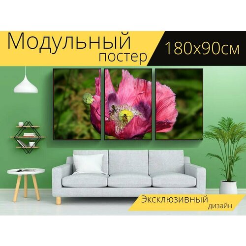 Модульный постер "Мак, цветок, завод" 180 x 90 см. для интерьера