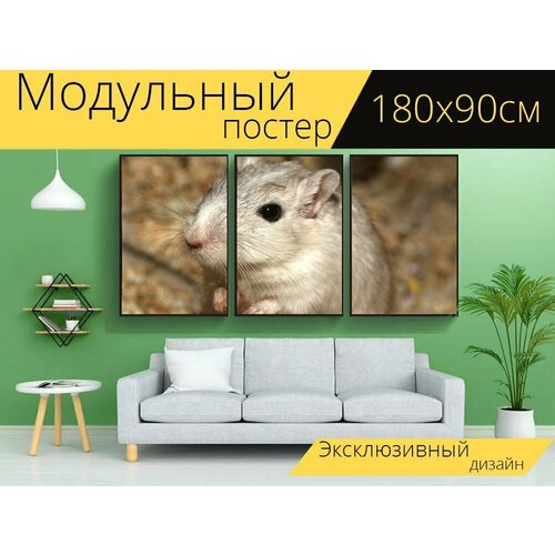 Модульный постер "Хомяк, мышь, белый" 180 x 90 см. для интерьера