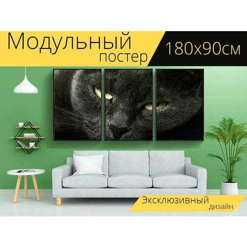 Модульный постер "Британский, серый, кошка" 180 x 90 см. для интерьера