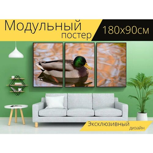 Модульный постер "Утка, вода, животное" 180 x 90 см. для интерьера