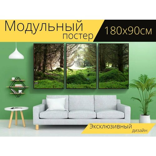 Модульный постер "Лес, свет, мох" 180 x 90 см. для интерьера