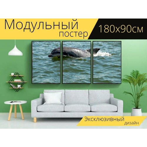 Модульный постер "Дельфин, дикая природа, дикий" 180 x 90 см. для интерьера