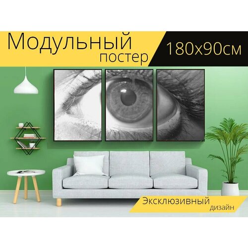 Модульный постер "Глаз, ресницы, деталь" 180 x 90 см. для интерьера