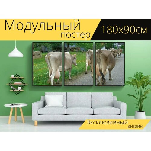 Модульный постер "Корова, молочных коров, вымя" 180 x 90 см. для интерьера