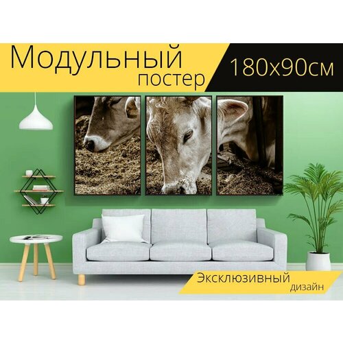 Модульный постер "Корова, сарай, стабильные животные" 180 x 90 см. для интерьера