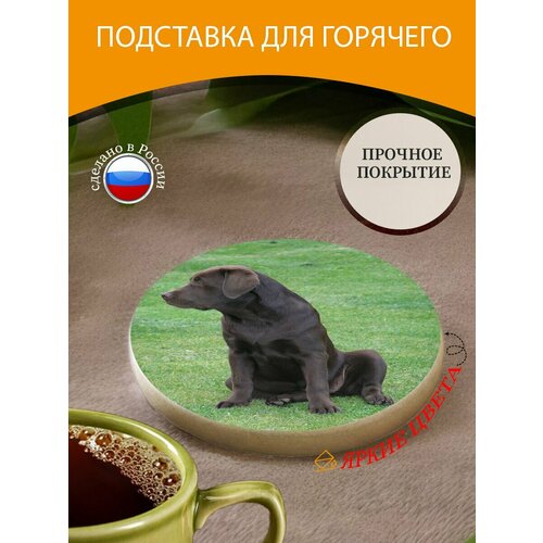 Подставка под горячее "Лабрадор, собака, шоколад" 10 см. из блого мрамора