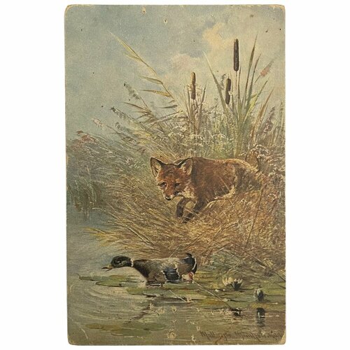 Почтовая открытка "Лис на охоте" XX век, Германия