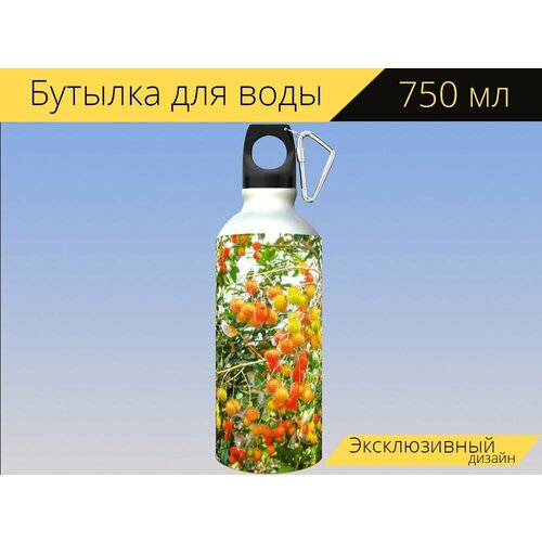 Бутылка фляга для воды "Фрукты, рамбутан, свежие" 750 мл. с карабином и принтом