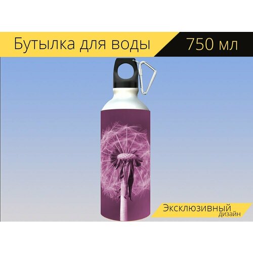 Бутылка фляга для воды "Одуванчик, семена, завод" 750 мл. с карабином и принтом