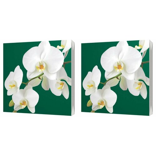 Салфетки бумажные, Bulgaree Green, орхидеи, 3 слоя, 20 шт, 33*33 см, 2 уп