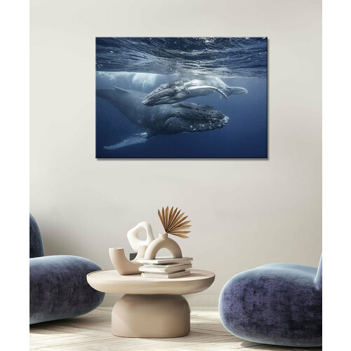 Картина - кит, синий кит, кит в океане, огромный кит, кит в воде (30) 30х40
