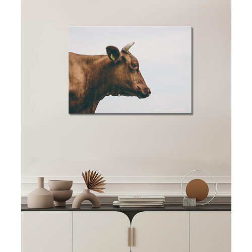 Картина -Корова, коричневая корова, корова на пастбище, бык (5) 60х80