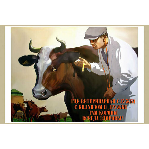 Плакат, постер на холсте Где ветеринарная служба с колхозом в дружбе-там коровы всегда здоровы. Размер 21 х 30 см
