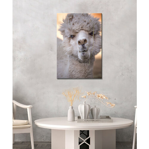 Картина - молодой верблюд, кучерявый верблюд 50х70