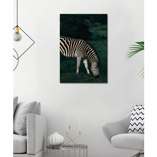 Картина - Зебра, полосатая зебра, красивая зебра (16) 50х70