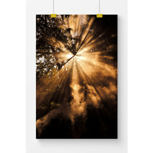 Постер для интерьера Postermarkt Лучи солнца сквозь деревья, постер на стену 60х90 см в тубусе, настенный декор для дома