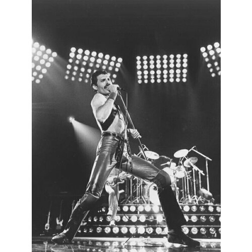 Плакат, постер на холсте Freddie Mercury/Фредди Меркьюри/черно-белый. Размер 42 х 60 см