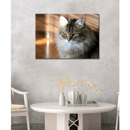 Картина - кошка, сибирская кошка, домашняя кошка, ласковая кошка, полудлинношёрстная кошка, кот (102) 50х70