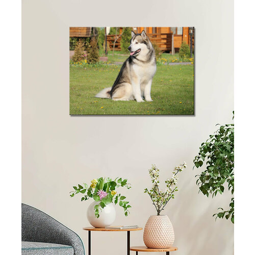 Картина - Маламут, аляскинский Маламут, маламут собака, маламут порода (4) 50х70