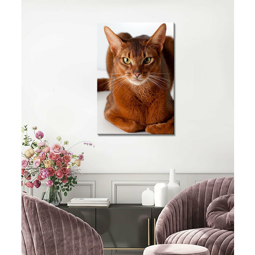 Картина - кошка, абиссинская кошка, древняя кошка, домашняя кошка, ласковая кошка, кот (173) 30х40