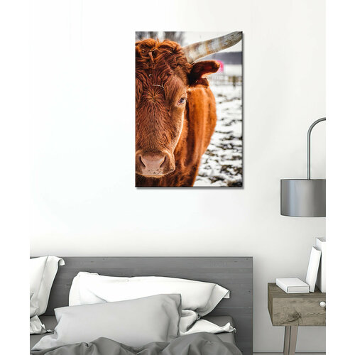 Картина - Корова, кудрявая корова, хайленд, хайлендская корова (5) 40х60