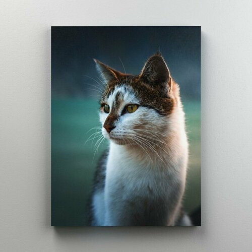 Интерьерная картина на холсте "Трёхцветная кошка смотрящая в даль" размер 22x30 см