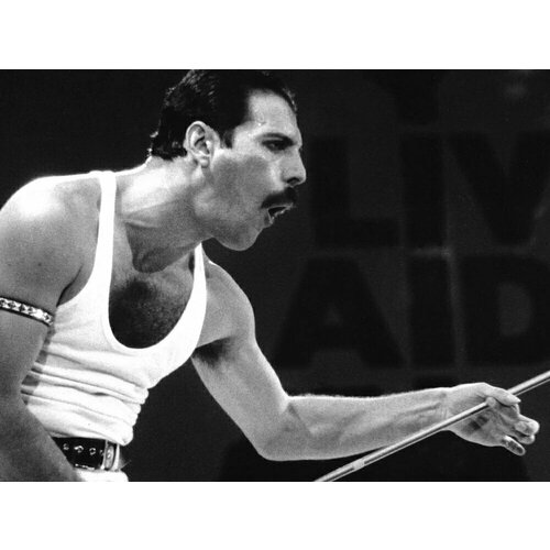 Плакат, постер на бумаге Freddie Mercury/Фредди Меркьюри/музыкальные/поп исполнитель/артист/поп-звезда/группа. Размер 21 на 30 см