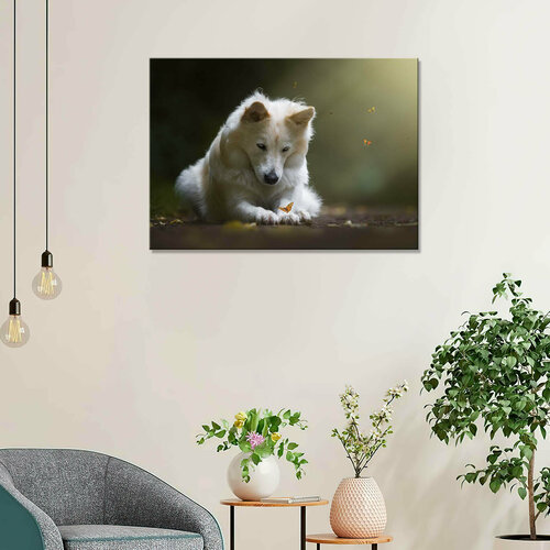 Интерьерная картина на холсте - белая собака и бабочки 50х70