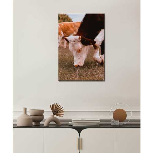 Картина -Корова, коричневая корова, корова на пастбище, бык (15) 20х30