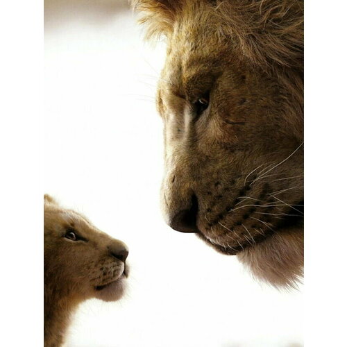 Плакат, постер на холсте Lion King/Король Лев/комиксы/мультфильмы. Размер 21 х 30 см