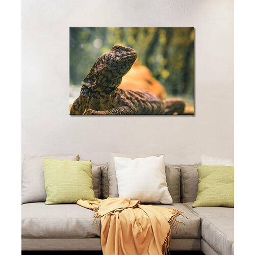 Картина -Игуана, мадагаскарская игуана, коричневая игуана (10) 50х70