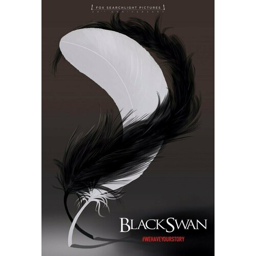 Плакат, постер на бумаге Black Swan, Чёрный лебедь. Размер 42 х 60 см