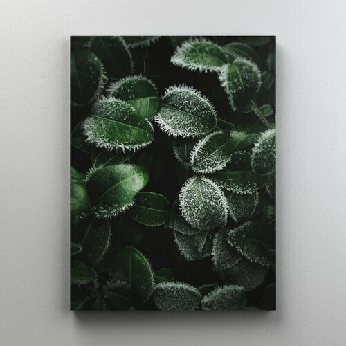 Интерьерная картина на холсте "Зеленая листва в инее", размер 30x40 см