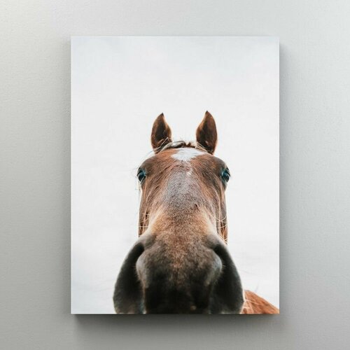 Интерьерная картина на холсте "Морда лошади" размер 45x60 см