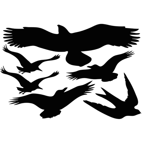 Наклейки-стикеры: силуэты хищных птиц (60 x 42) см - V16