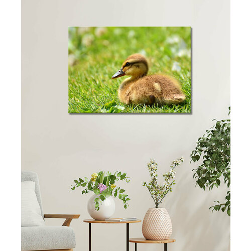 Картина - Гусь, гусенок, гусь птица, маленький гусенок в траве (48) 50х70