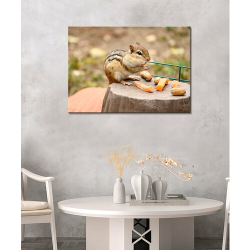 Картина - Бурундук, бурундучок, полосатый бурундук с орехами, милый бурундук (33) 50х70