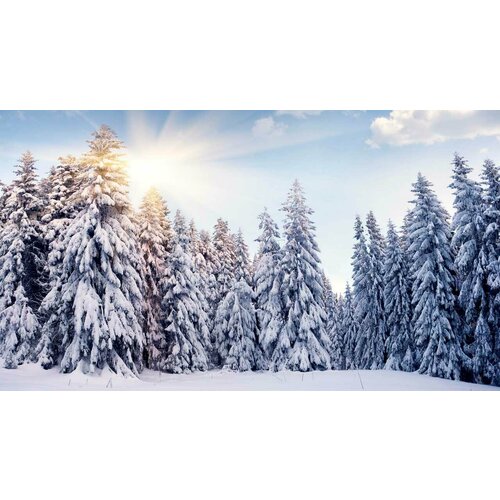 Картина на холсте 60x110 LinxOne "Ёлки снег облака солнце зима" интерьерная для дома / на стену / на кухню / с подрамником