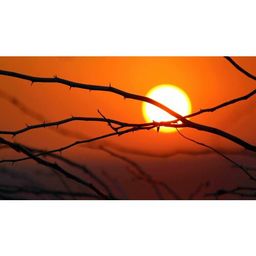 Картина на холсте 60x110 Альянс Лес "Природа Солнце Утро Яркий" на подрамнике / интерьер/ декор