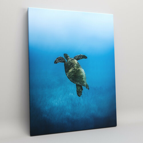 Картина на холсте (интерьерный постер) "Морская черепаха" моря и океаны, с деревянным подрамником, размер 30х40 см