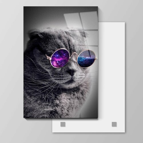 Картина на стекле - "Кот в очках" размер 105-70 см