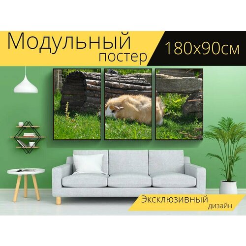 Модульный постер "Морская свинка, домашнее животное, грызун" 180 x 90 см. для интерьера