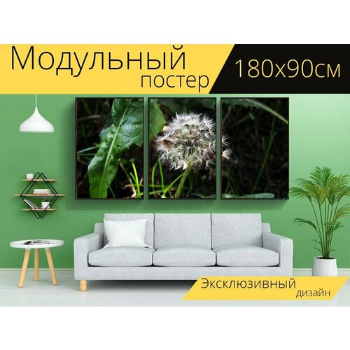 Модульный постер "Душевая головка, сад, цвета" 180 x 90 см. для интерьера